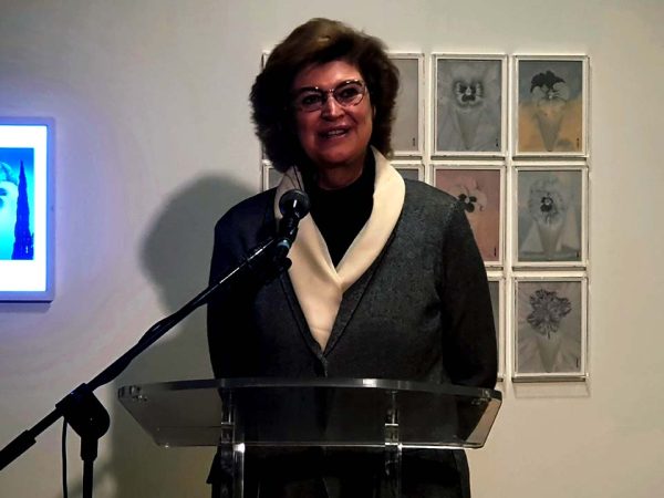 The Art and Science of Botanical Illustration: A Conversation with ...